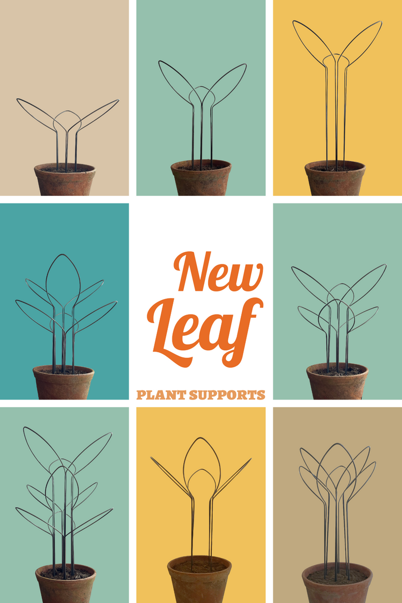 Leaf Supports - Medium height – Plant Belles
