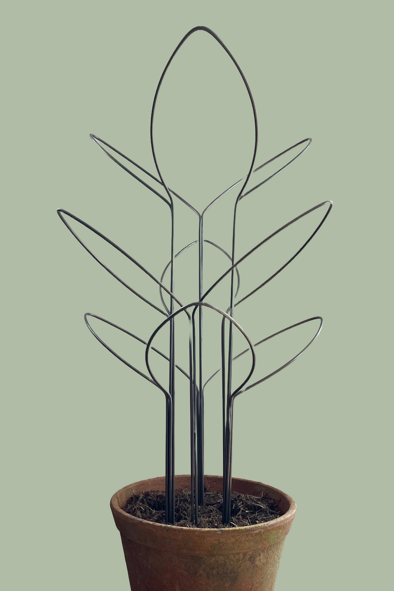 Leaf Supports - Tall – Plant Belles